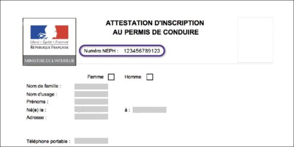 NEPH : inscription au permis de conduire - Merci Léon